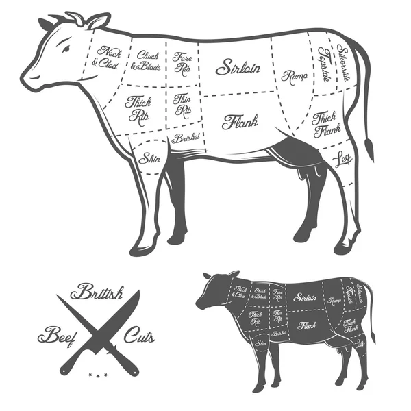 Vintage hand drawn butcher cuts of beef scheme — Stock Vector © ivan ...