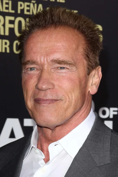 Schwarzenegger Pictures, Schwarzenegger Stock Photos & Images ...