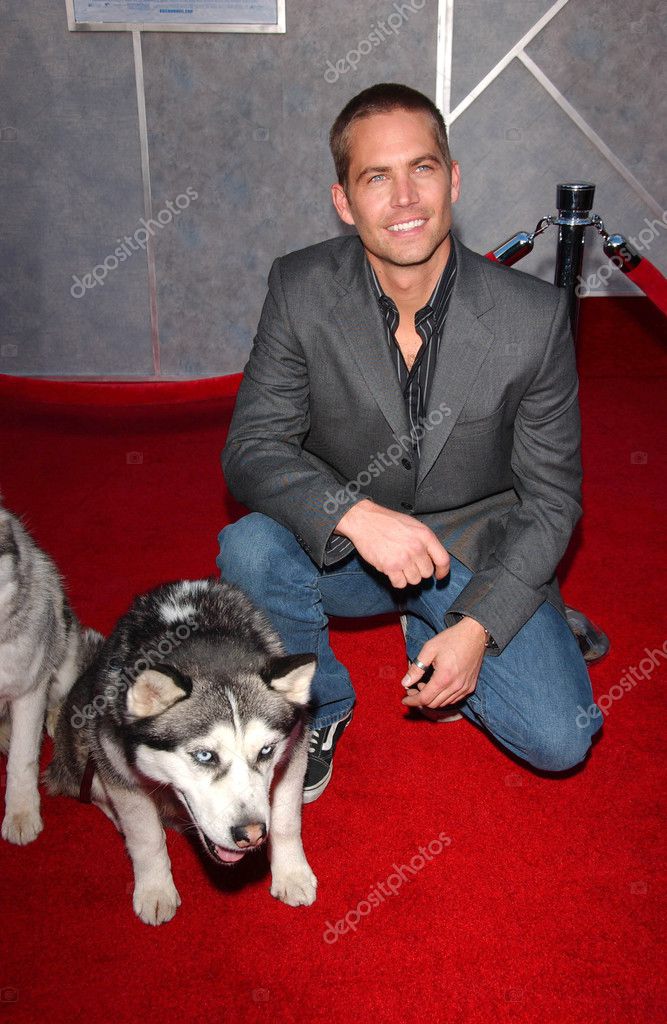 Paul Walker Eight Below Premiere