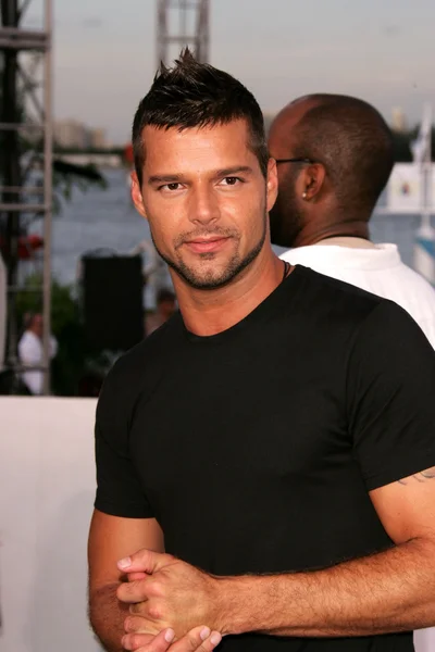 Ricky Martin Haircut