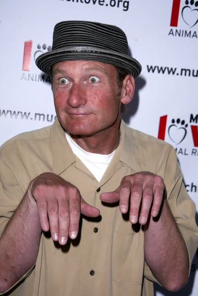 Ryan stiles Stock Photos, Royalty Free Ryan stiles Images | Depositphotos®