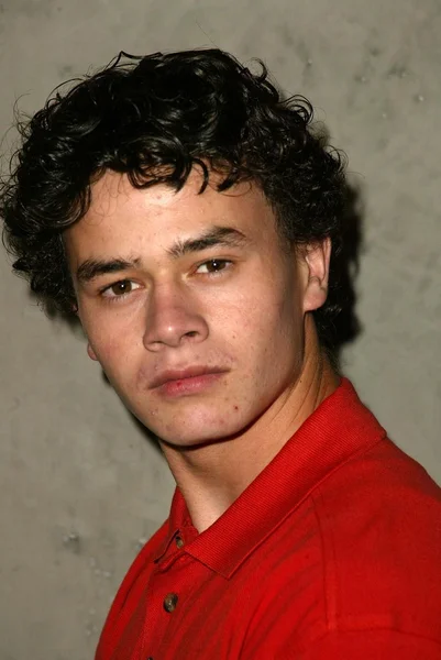 Seth ward Stock Photos, Royalty Free Seth ward Images | Depositphotos