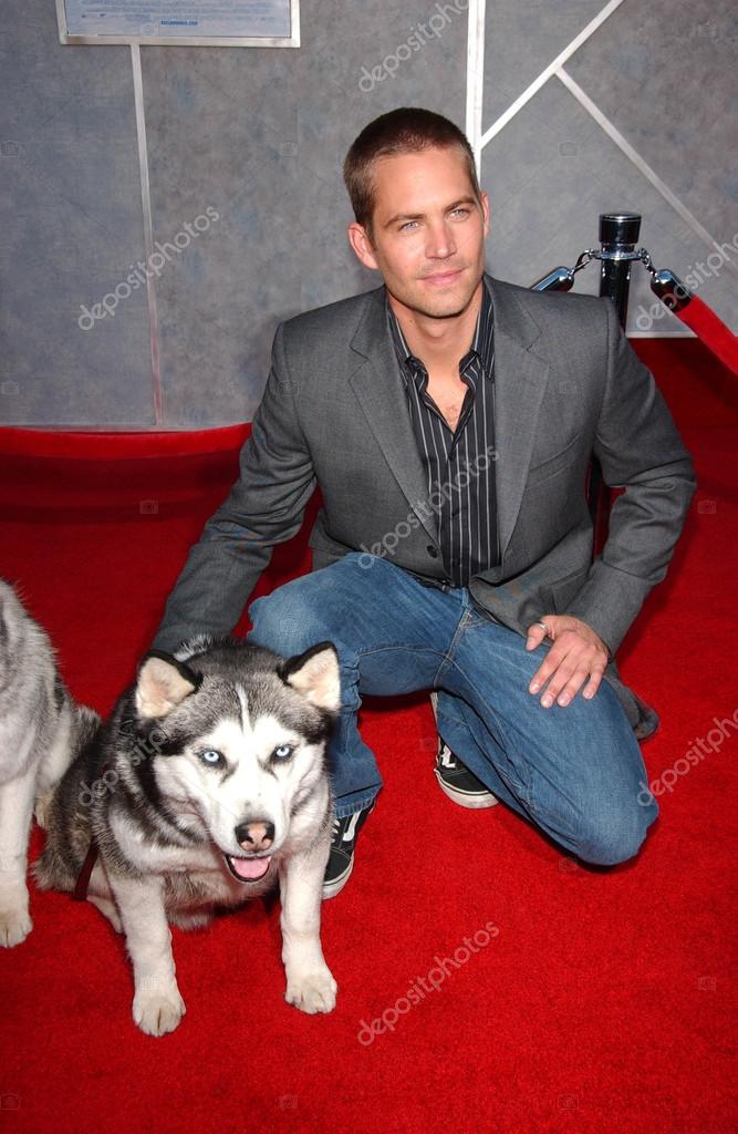 Eight Below Paul Walker