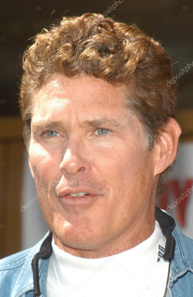 デビッド・ハッセルホフカレンダー