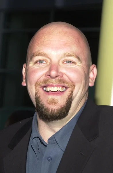 Darmowe dyrektor Stock Photos, Royalty Free Darmowe dyrektor Images ...