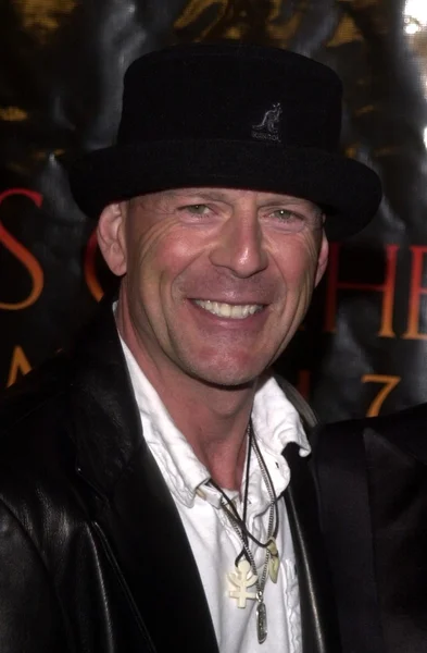 Merle gene Stock Photos, Royalty Free Merle gene Images | Depositphotos