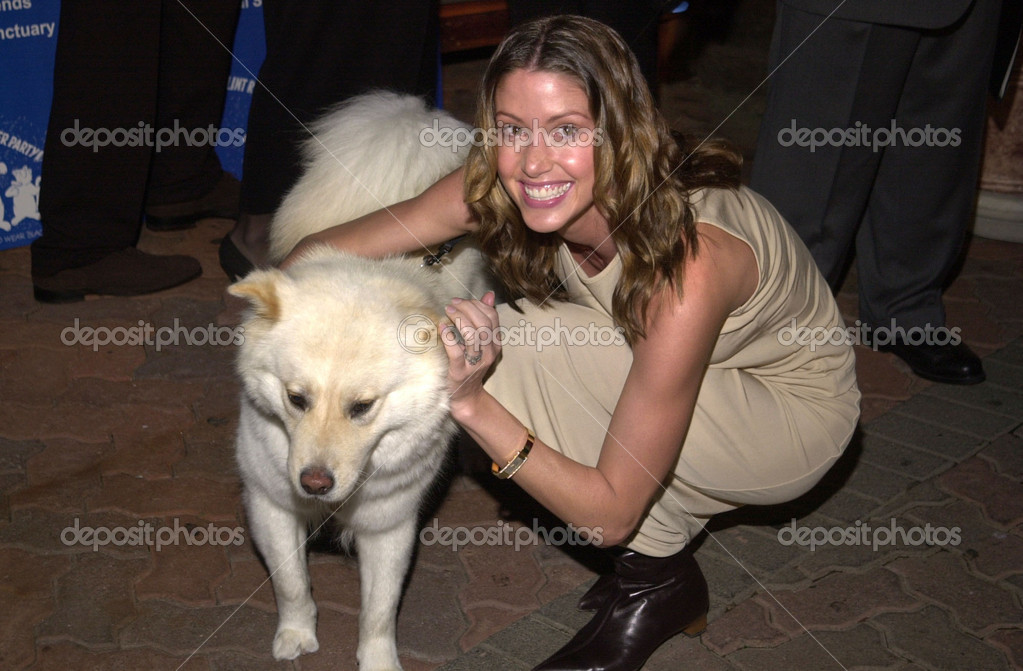 Shannon Elizabeth – Stock Editorial Photo © s_bukley #17918139