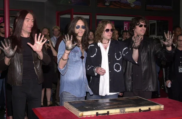 Black crowes Stock Photos, Royalty Free Black crowes Images | Depositphotos