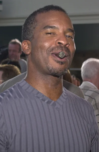 David morgan Stock Photos, Royalty Free David morgan Images | Depositphotos