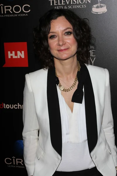 Sara gilbert Stock Photos, Royalty Free Sara gilbert Images | Depositphotos