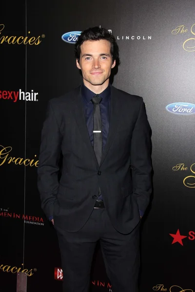 Grauer Damon Stern Gekreuzt