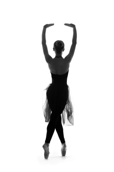 Black and white trace of young beautiful ballet dancer Stock Photo by ...