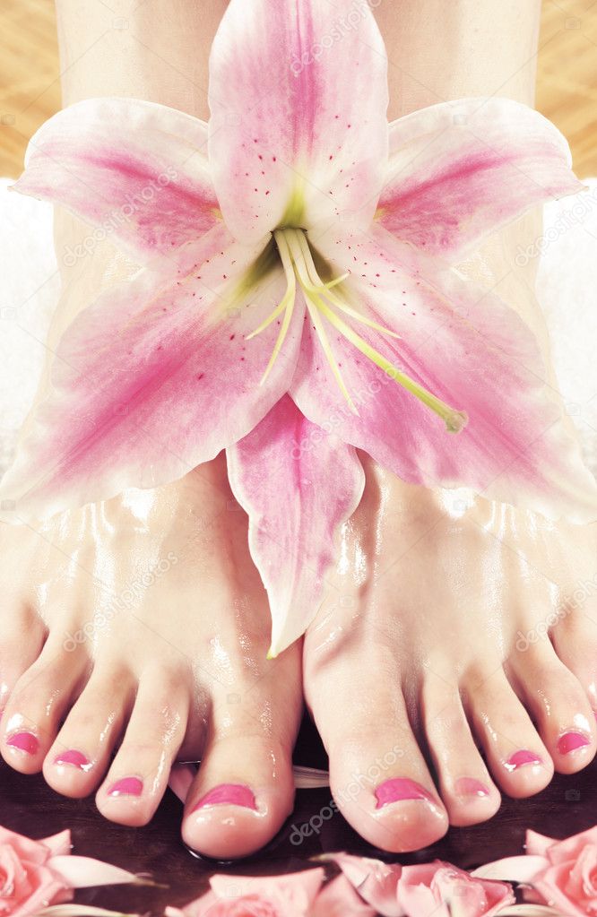 Female legs with a lily flower Stock Photo by ©shmeljov 45261949