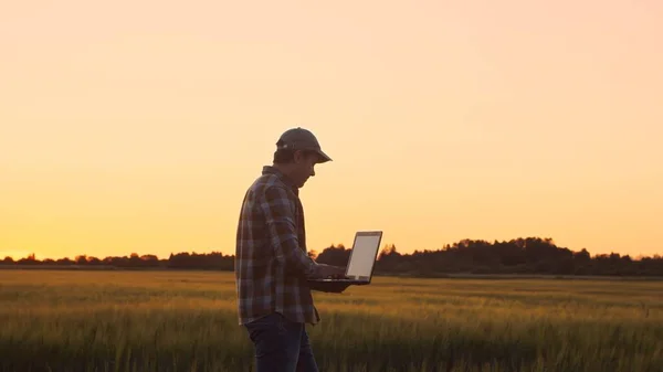Farmer with a laptop computer in front of a sunset agricultural ...