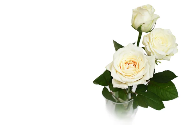 Romantic background with three white roses — Stock Photo © dariazu ...