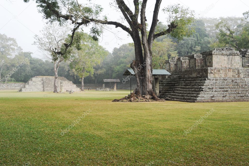 The Mayan ruins of Copan Stock Photo by ©Fotoember 43692311