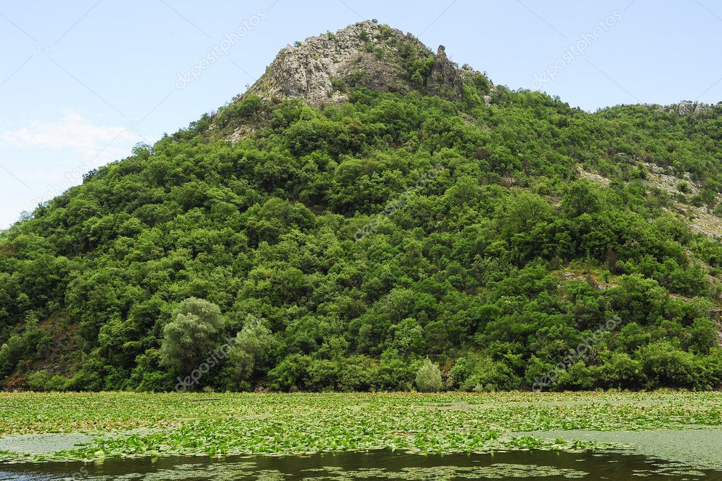 Lake Skadar national park Stock Photo by ©Fotoember 49491135