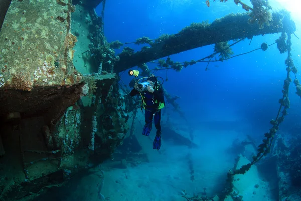 Marine Life in the Red Sea Stock Photo by ©uwstas 17338321