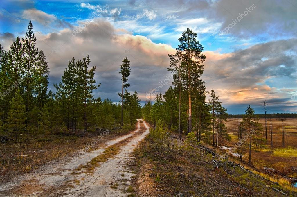 Tajga syberyjska — Zdjęcie stockowe © YURY7TARANIK #14052088
