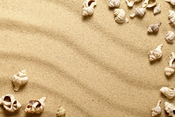 Shells On Sand Stock Photo by ©BozenaFulawka 25050169
