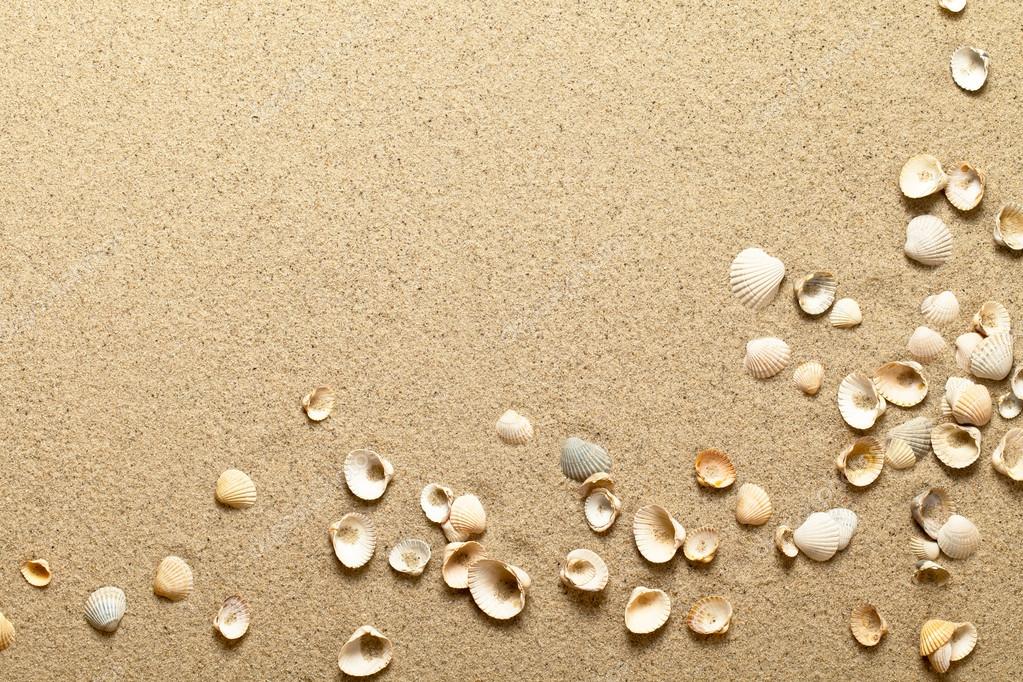 Shells On Sand — Stock Photo © BozenaFulawka #22894212