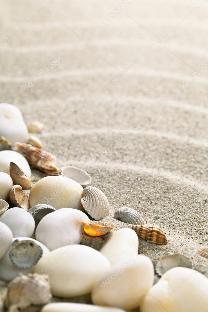 Sand and Shells — Stock Photo © BozenaFulawka #23794999