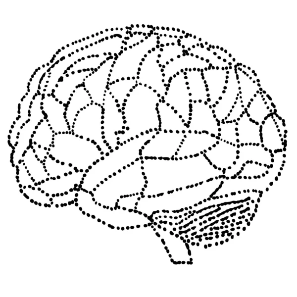 Sketch of human brain and a woman's face painted in scrawl style. trace ...