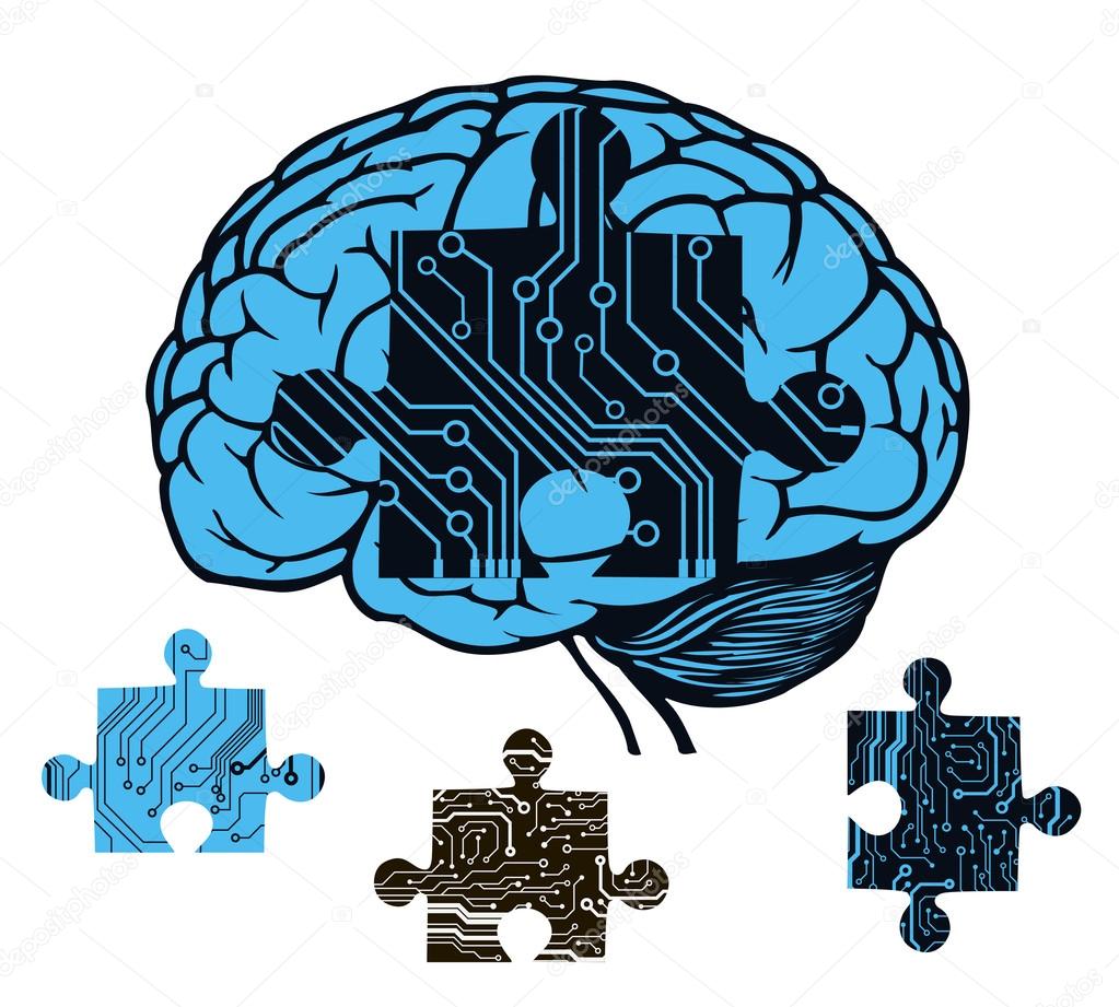Model of human brain Stock Vector by ©spirit-alex 18796483