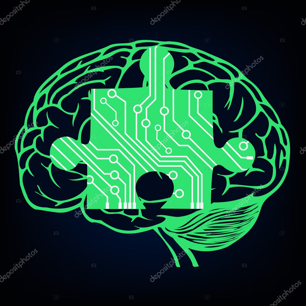 Model of human brain. eps10 vector illustration Stock Vector by ©spirit ...