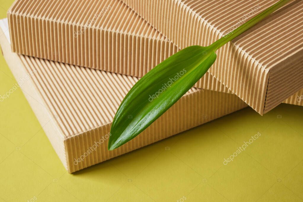 cajas de cartón corrugado y hoja fresca verde sobre fondo verde maqueta ...