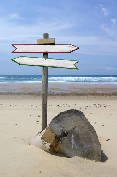 Directional sign - Stock Image - Everypixel