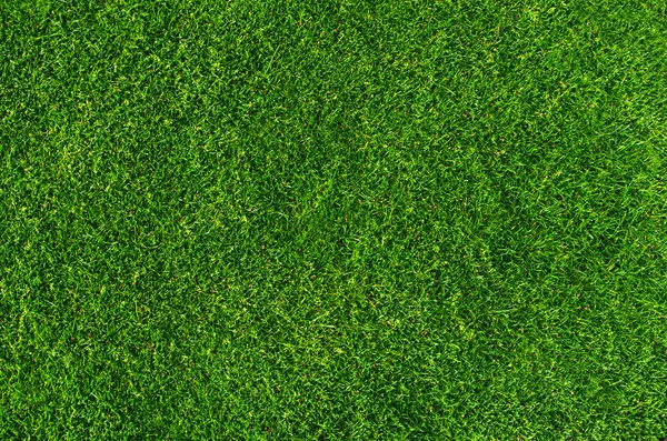 Lawn texture Stock Photos, Royalty Free Lawn texture Images | Depositphotos
