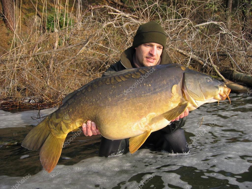 Carp fishing scene — Stock Photo © sablin #15684029