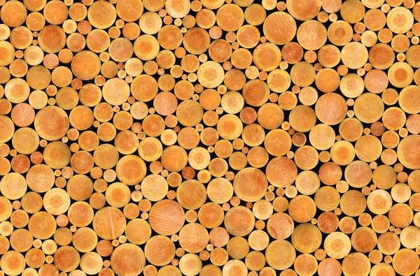 Stacked logs Stock Photos, Royalty Free Stacked logs Images | Depositphotos