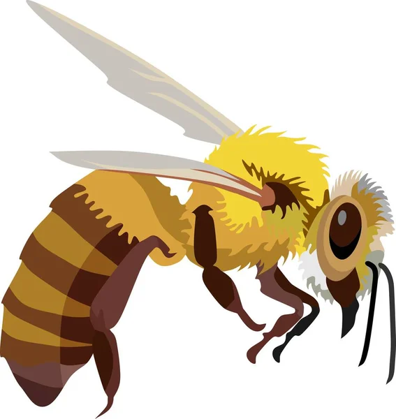 8,387,088 Honey bee venom Vector Images | Depositphotos