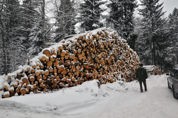 Timber stack Stock Photos, Royalty Free Timber stack Images | Depositphotos