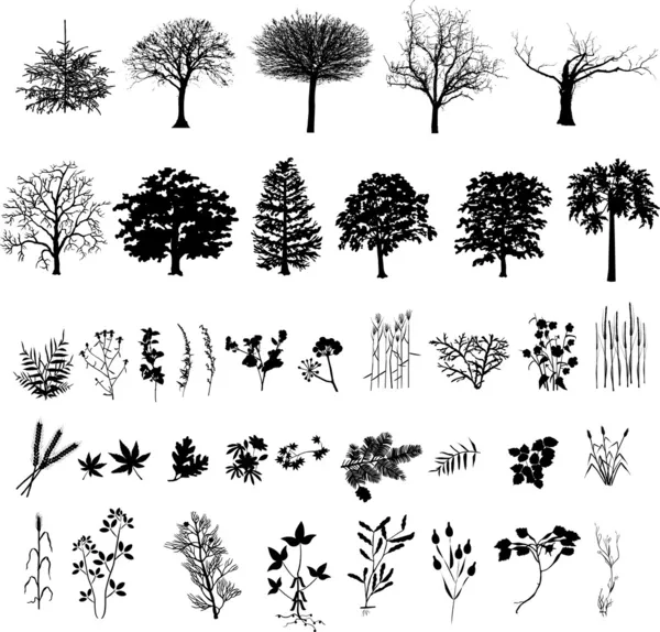 100,000 Plantes et arbres Vector Images | Depositphotos