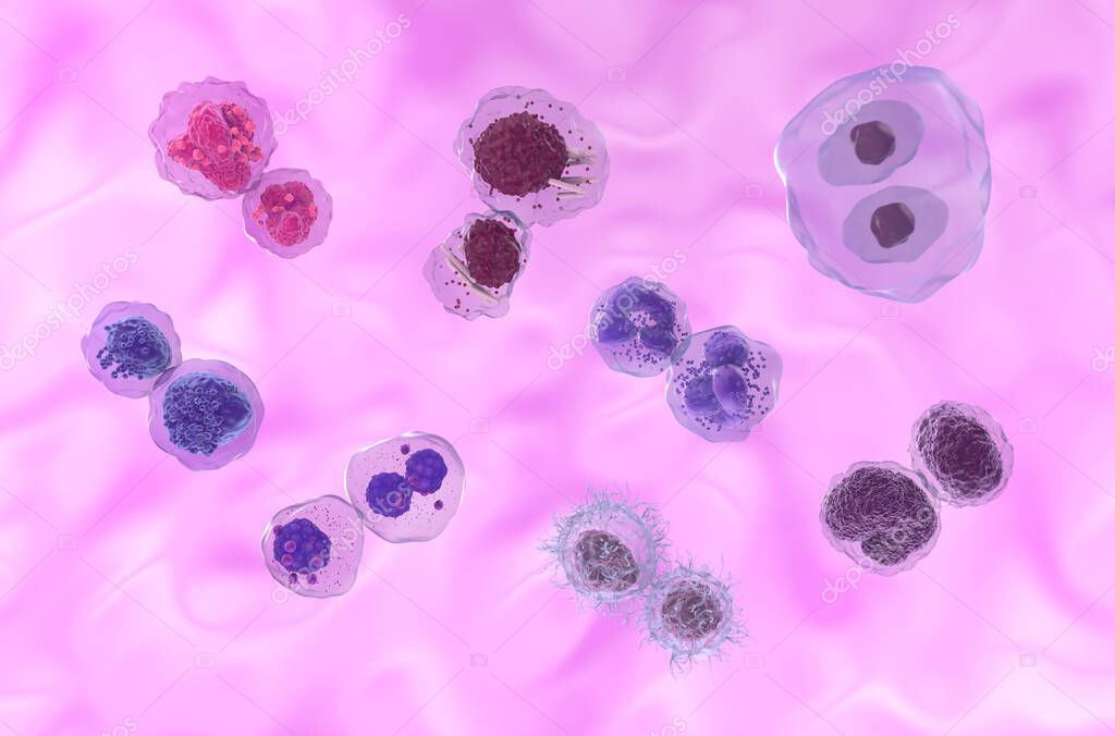 Tipos de cáncer de la sangre más comunes: leucemias, linfomas y mieloma ...