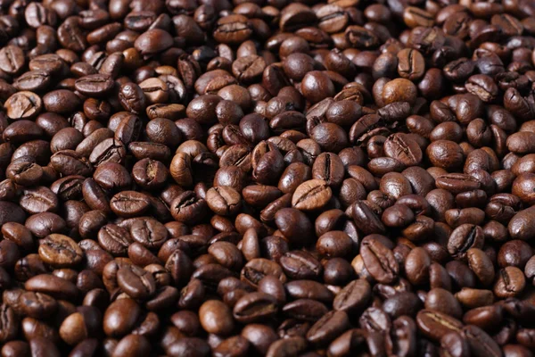 Robusta Coffee Beans Stock Photo by ©stioss 33396939