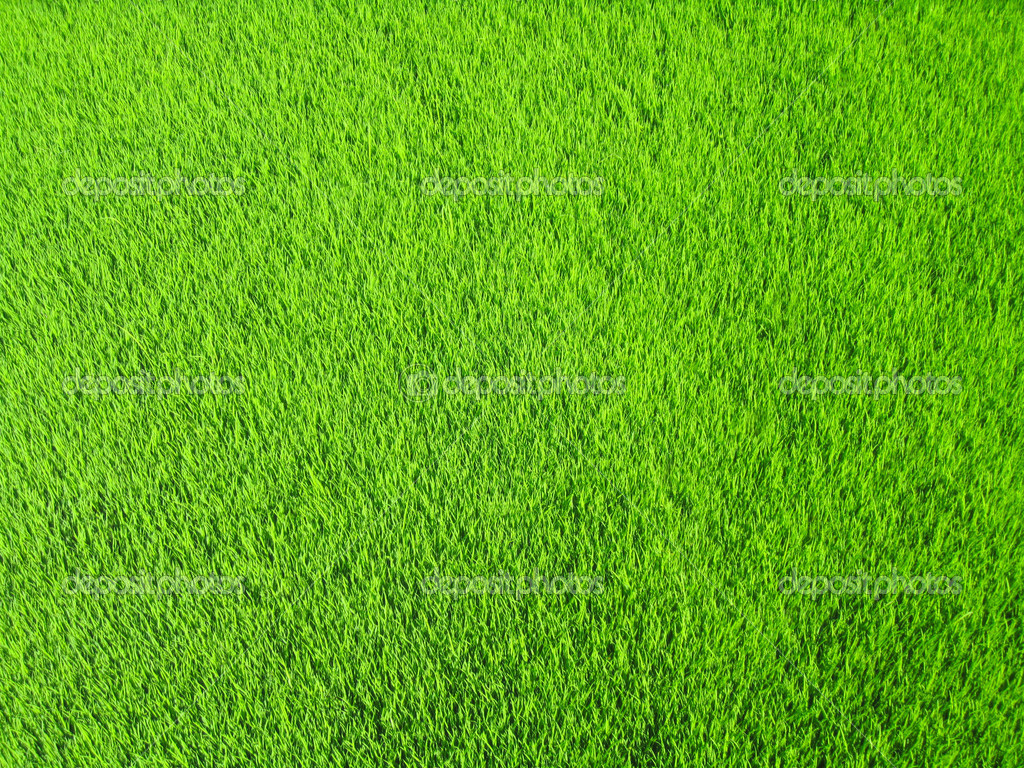 Textura de grama — Fotografias de Stock © iTobi #15862959