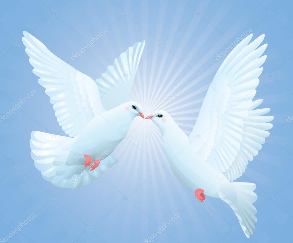 Dos Palomas Volando Palomas Volando En El Cielo, Ilustración