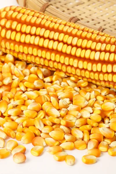 Grain corn — Stock Photo © jianghongyan #17521497