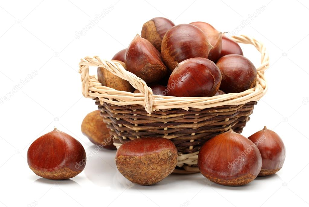 Chestnut Stock Photo by ©jianghongyan 16845353