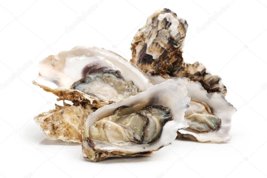 Ostra Crassostrea gigas molusco de concha comestible — Foto de stock ...