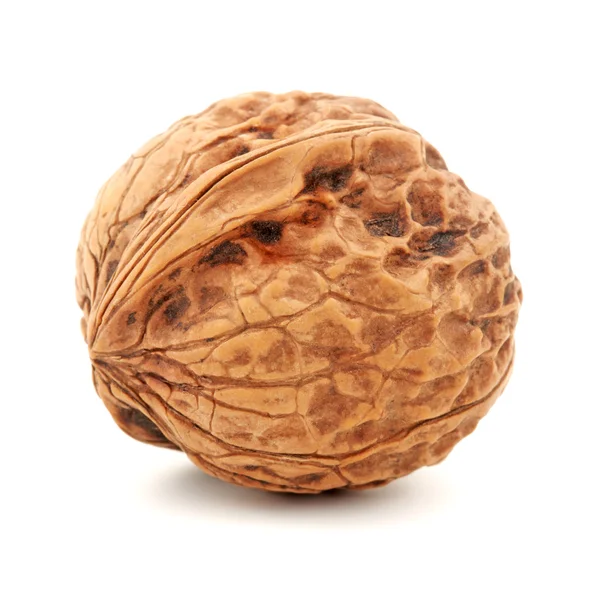 Edible walnut Stock Photos, Royalty Free Edible walnut Images ...