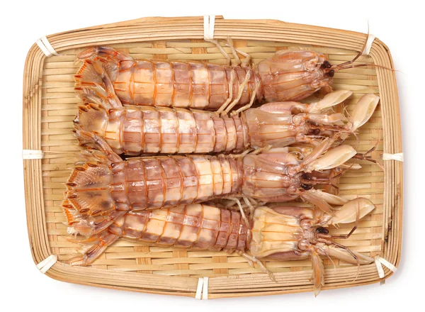 Mantis Shrimp on the white background Stock Photo by ©jianghongyan 28148953