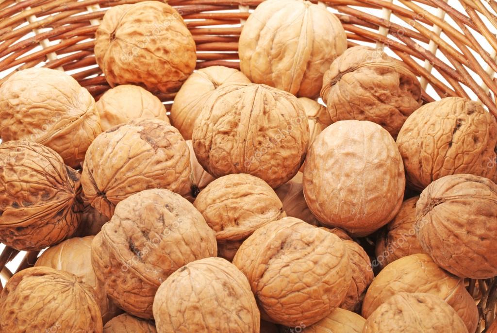Walnut background Stock Photo by ©jianghongyan 28326645