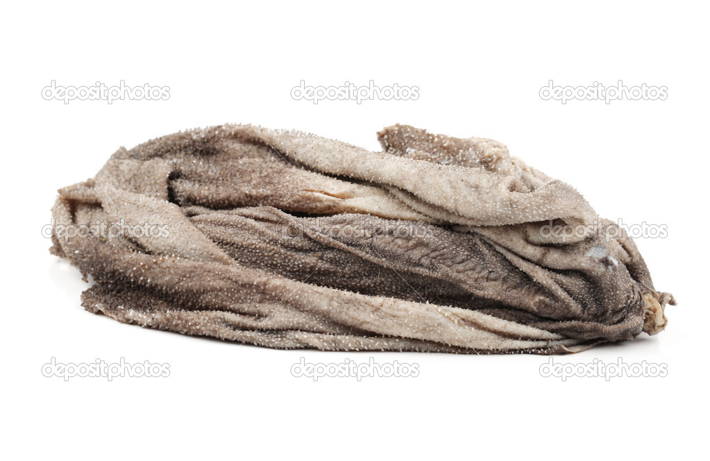 Raw tripe on white background — Stock Photo © jianghongyan #28704523