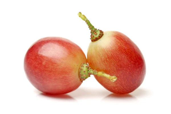 Single grape Stock Photos, Royalty Free Single grape Images | Depositphotos