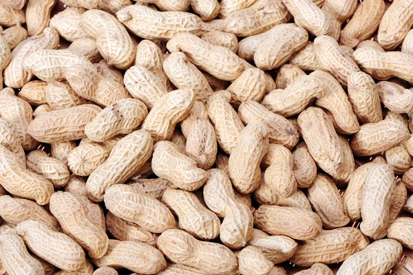 Groundnut background Stock Photo by ©Serg64 10959099